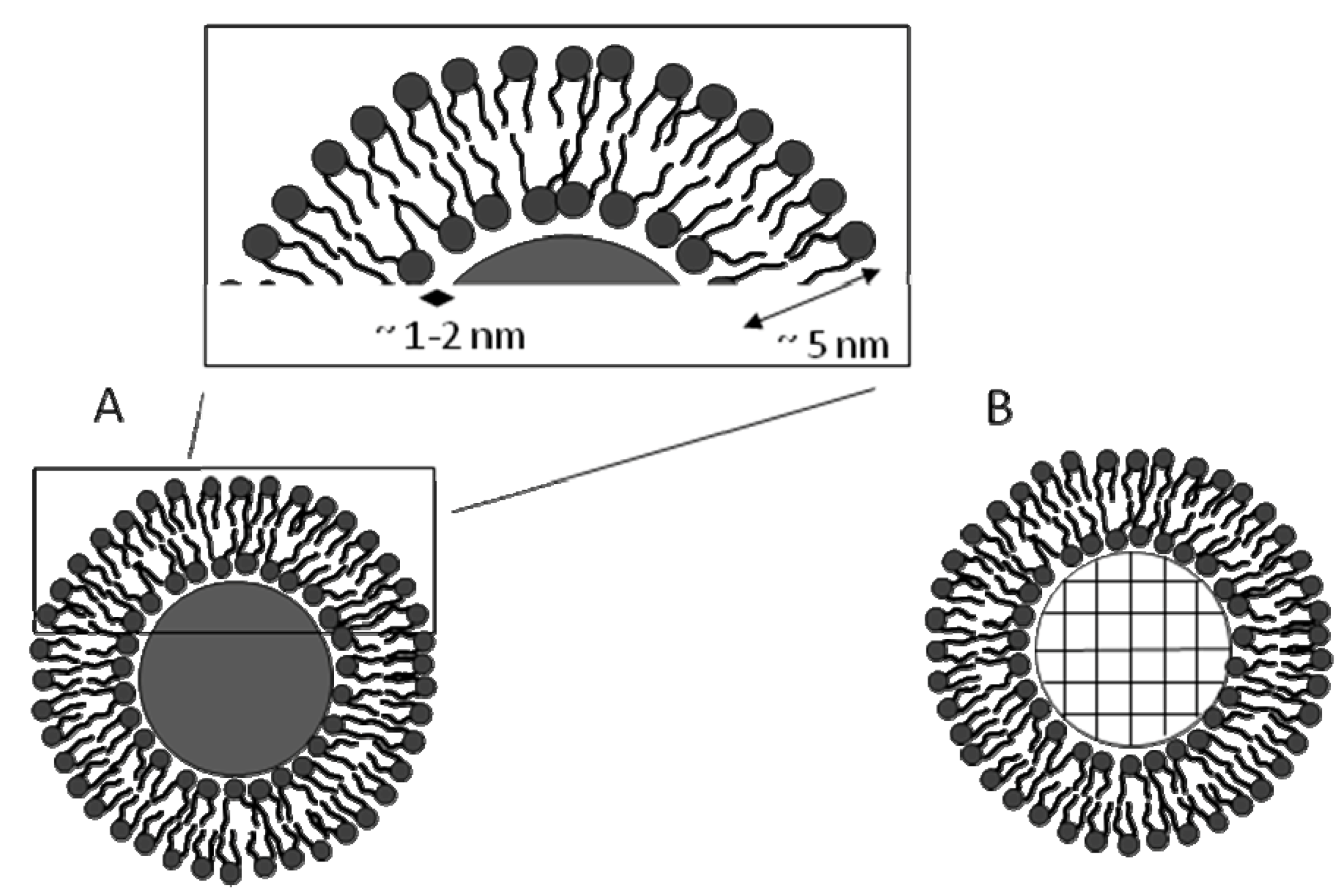 Biomimetic Silica Microspheres in Biosensing