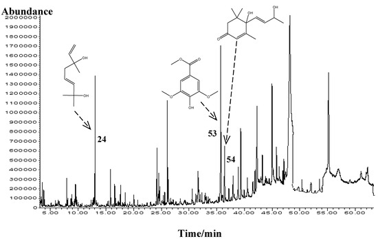 Molecules | Free Full-Text | Organic Extractives from Mentha spp. Honey ...