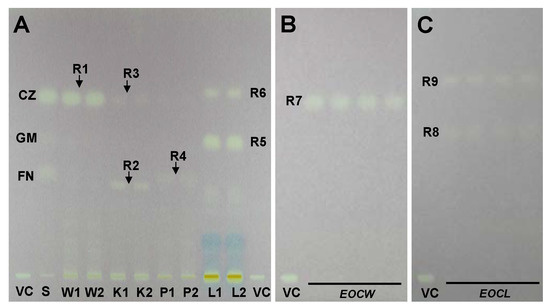 Free Radical Scavenging Activity and Characterization of ...