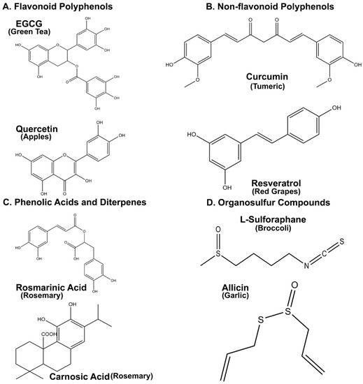Molecules | Free Full-Text | Nutraceutical Antioxidants as Novel ...