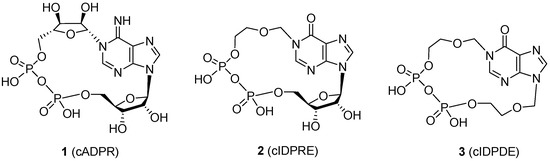 Concise Syntheses of Trifluoromethylated Cyclic and Acyclic Analogues ...