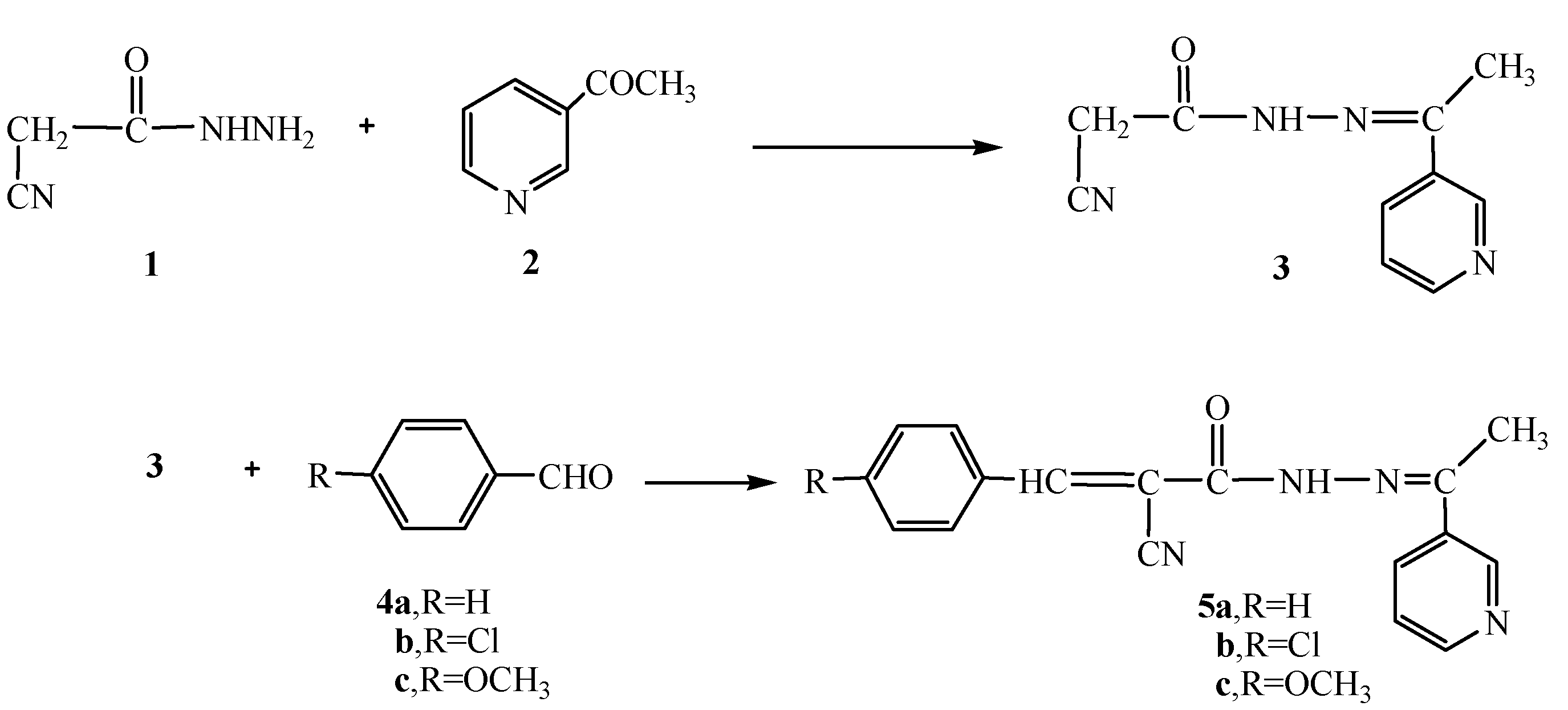 Novel Synthesis of Hydrazide-Hydrazone Derivatives and Their ...