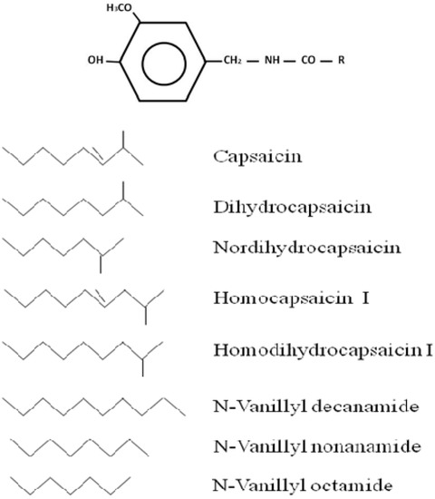 Chemical and Pharmacological Aspects of Capsaicin