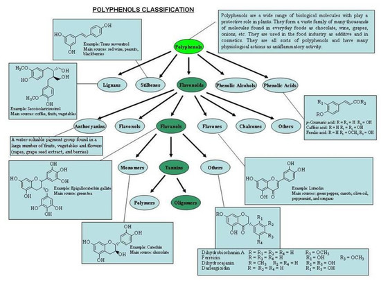 Plant Polyphenols and Their Anti-Cariogenic Properties: A Review