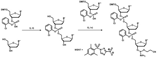 DNA Libraries for the Construction of Phage Libraries: Statistical and ...