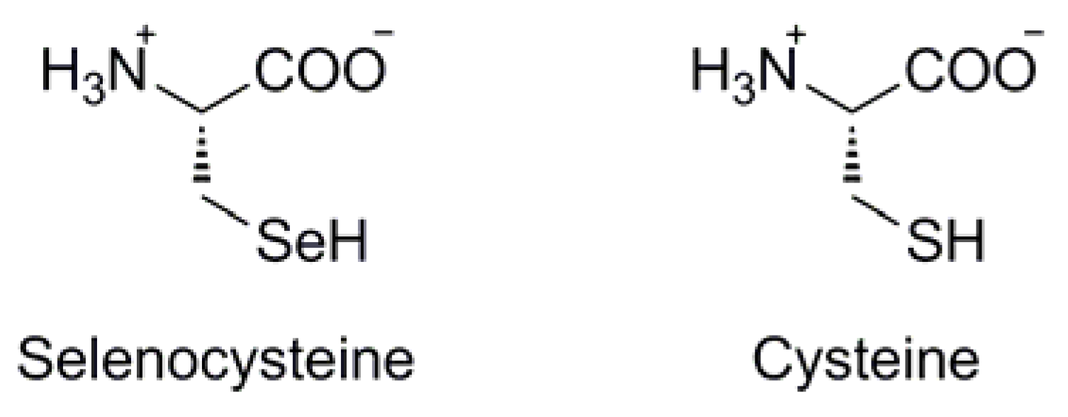 Selenol Protecting Groups in Organic Chemistry: Special Emphasis on ...