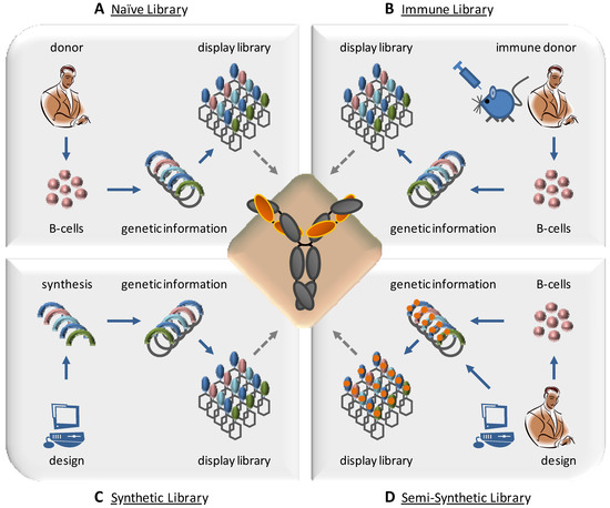 Molecules | Special Issue : Phage Display of Combinatorial Libraries