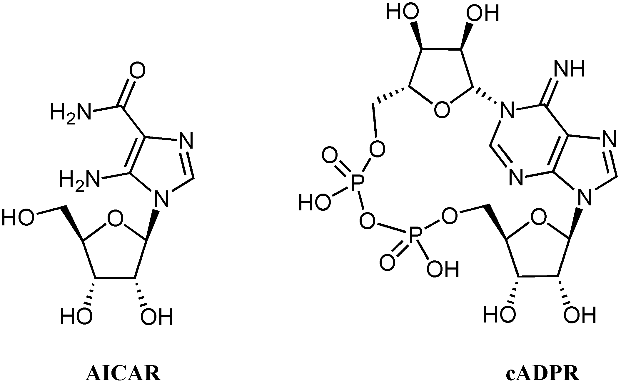 Solid-Phase Synthesis of a New Diphosphate 5-Aminoimidazole-4 ...