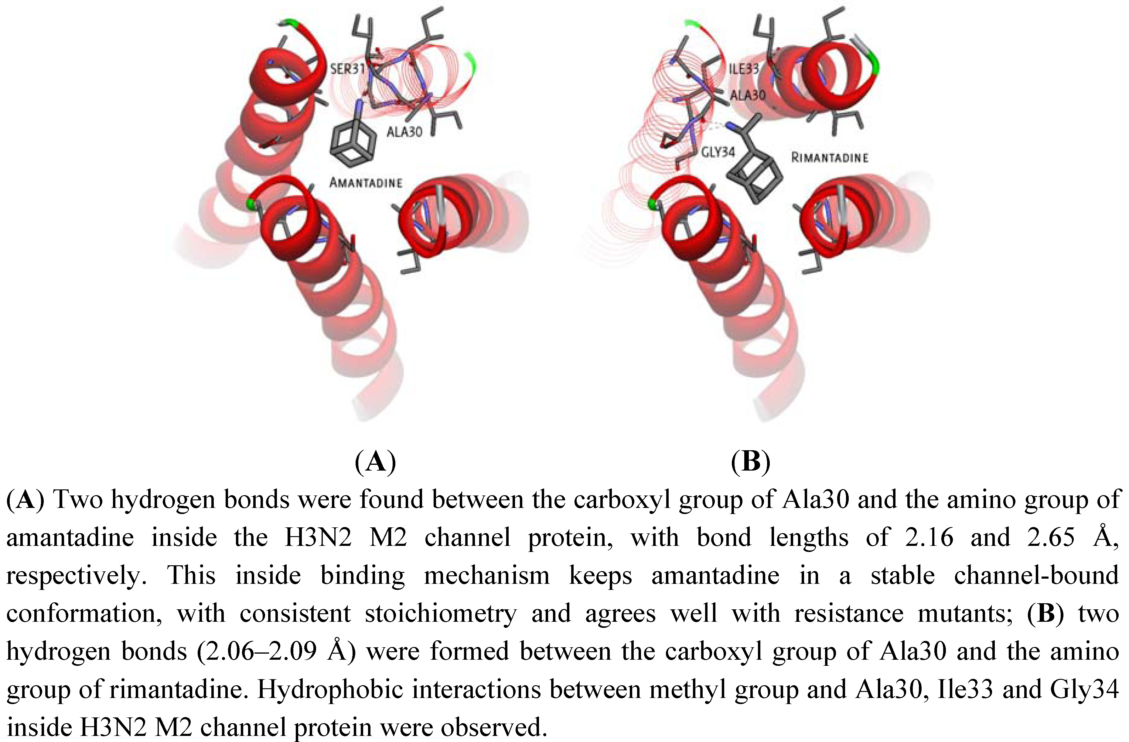 Molecules | Free Full-Text | Discovery of Potential M2 Channel ...