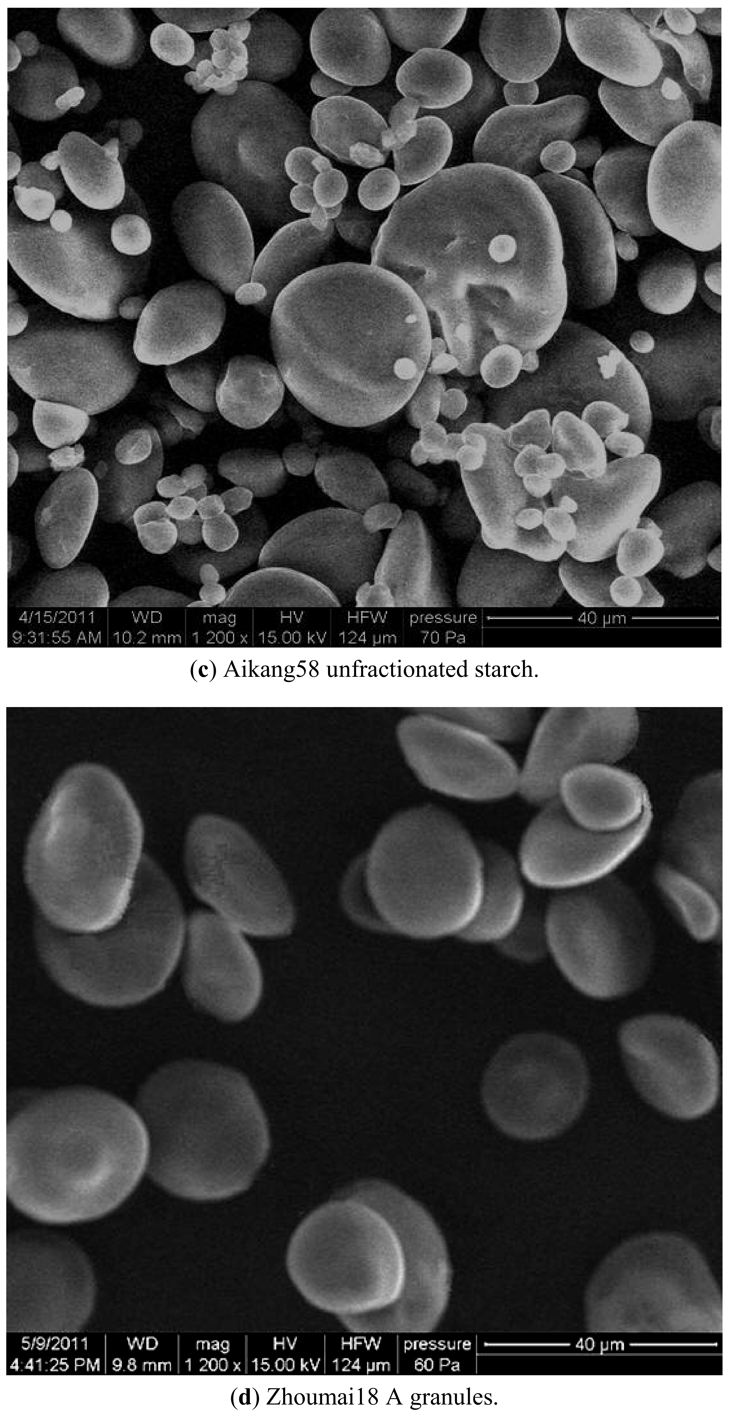 Comparison of A and B Starch Granules from Three Wheat Varieties