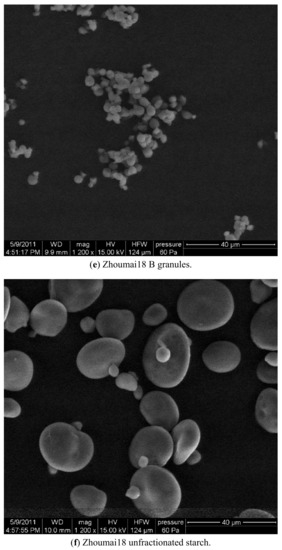 Comparison of A and B Starch Granules from Three Wheat Varieties