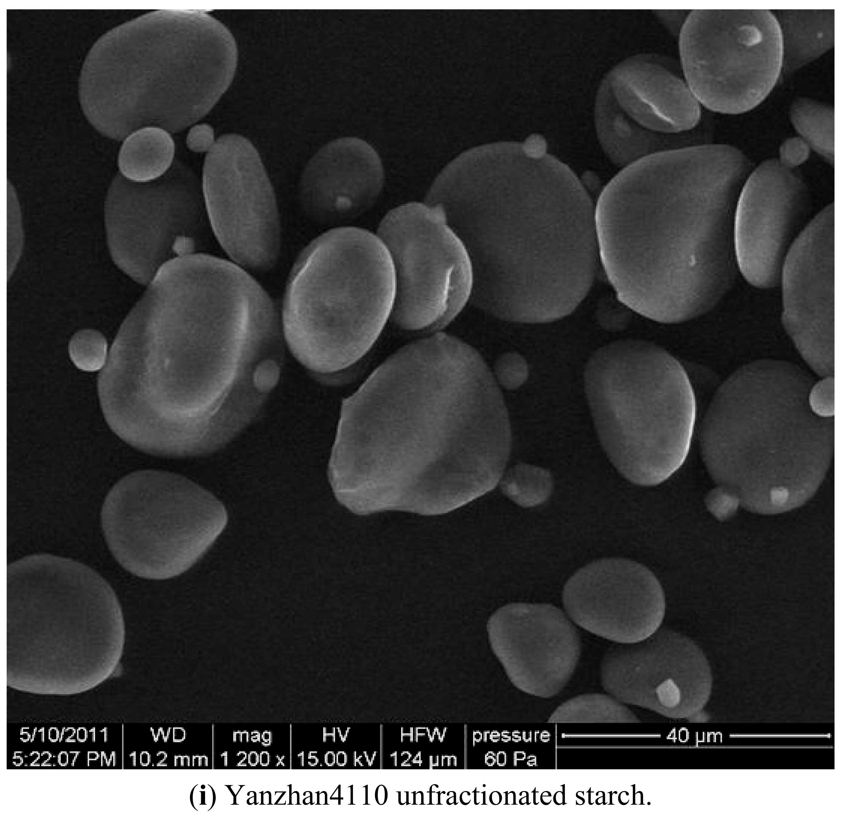 Comparison of A and B Starch Granules from Three Wheat Varieties
