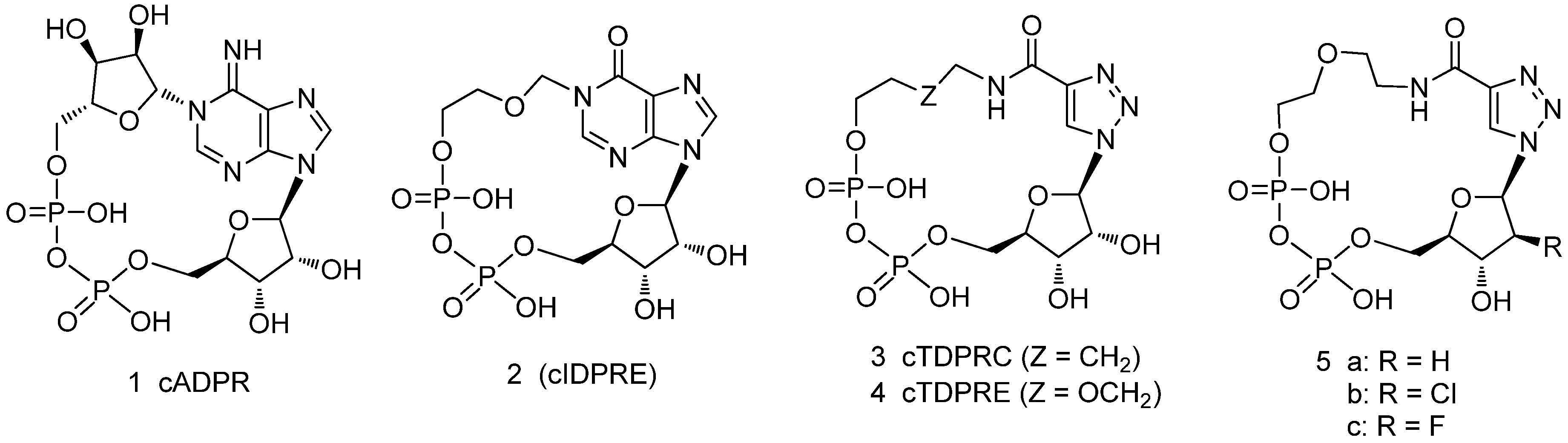 Molecules | Free Full-Text | Synthesis and Calcium Mobilization ...