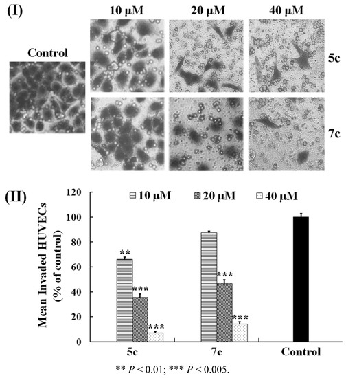 Design, Synthesis, and Anti-Proliferative Evaluation of [1,1′-biphenyl ...