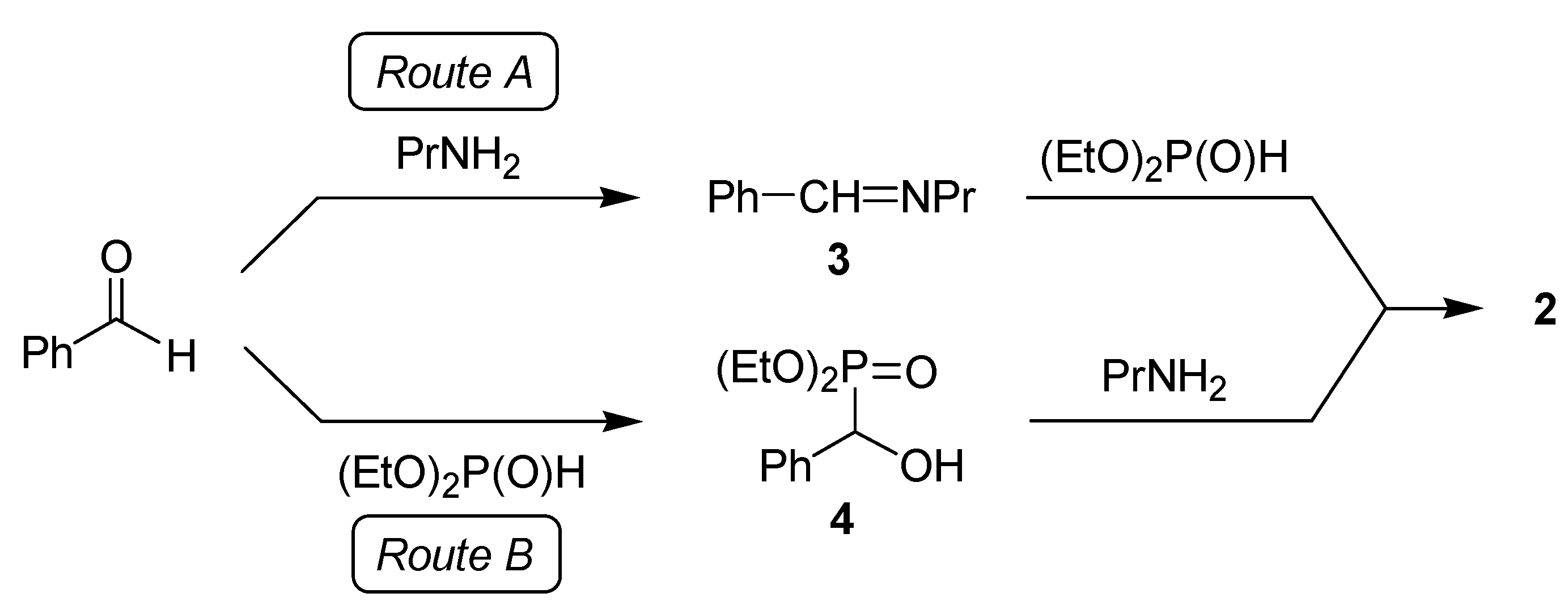 The Kabachnik–Fields Reaction: Mechanism and Synthetic Use