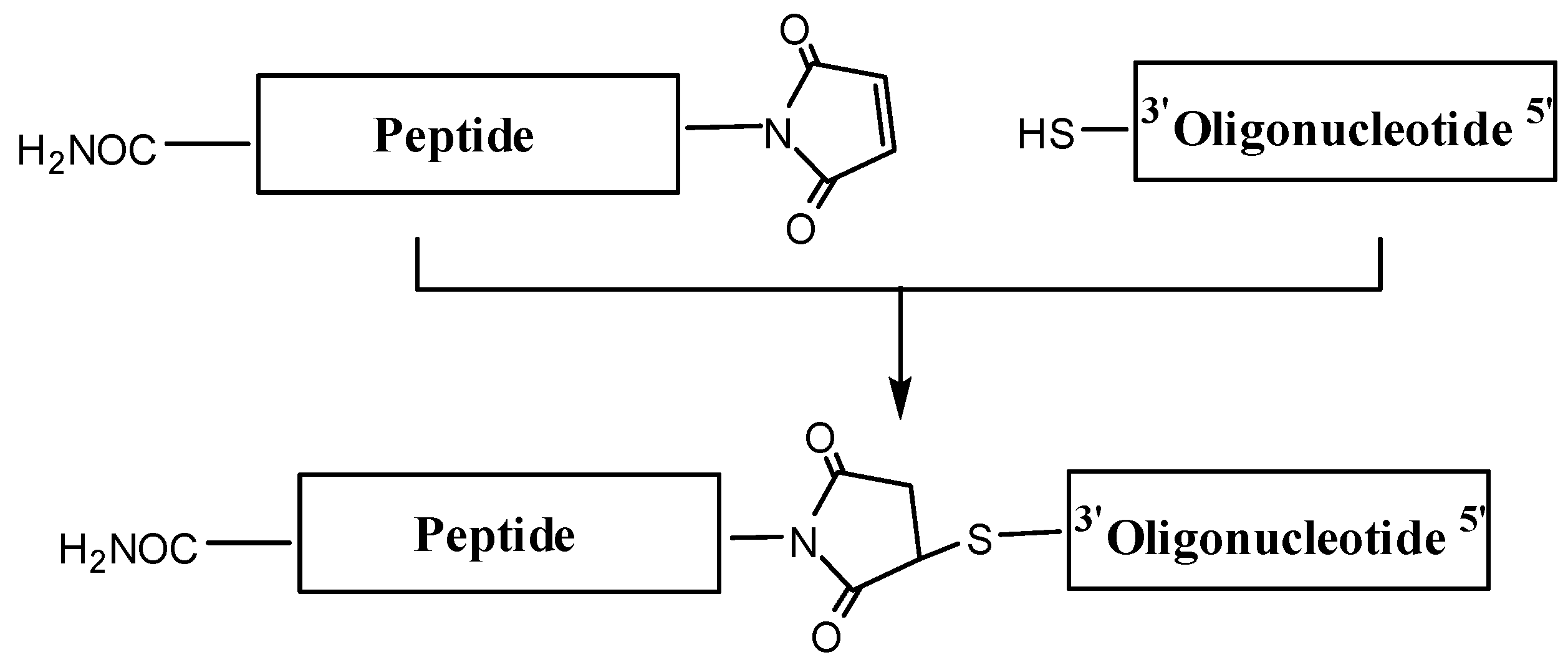 Oligonucleotide-Peptide Conjugates: Solid-Phase Synthesis under Acidic ...