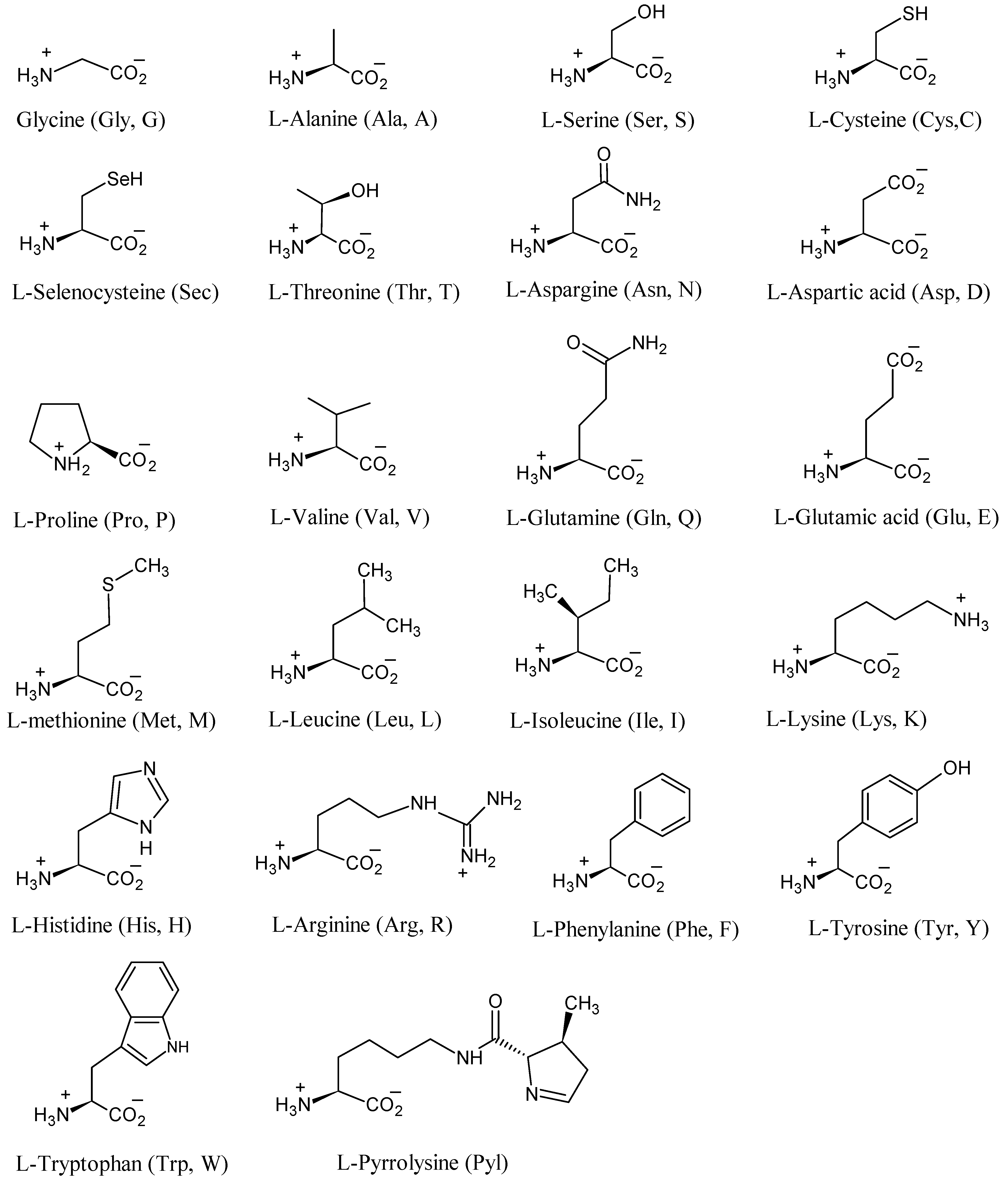 Molecules | Free Full-Text | Access to Any Site Directed Stable Isotope (2H, 13C, 15N, 17O and ...
