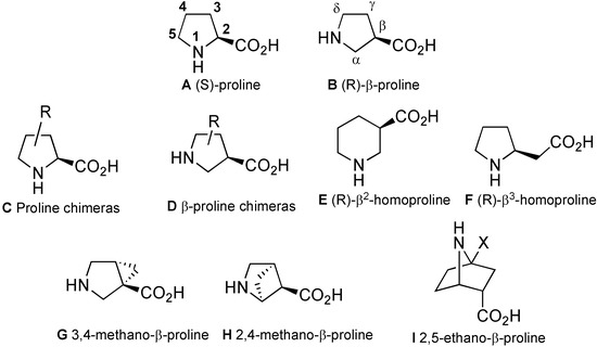 Structure Of Proline