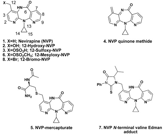 2'-Deoxythymidine Adducts from the Anti-HIV Drug Nevirapine