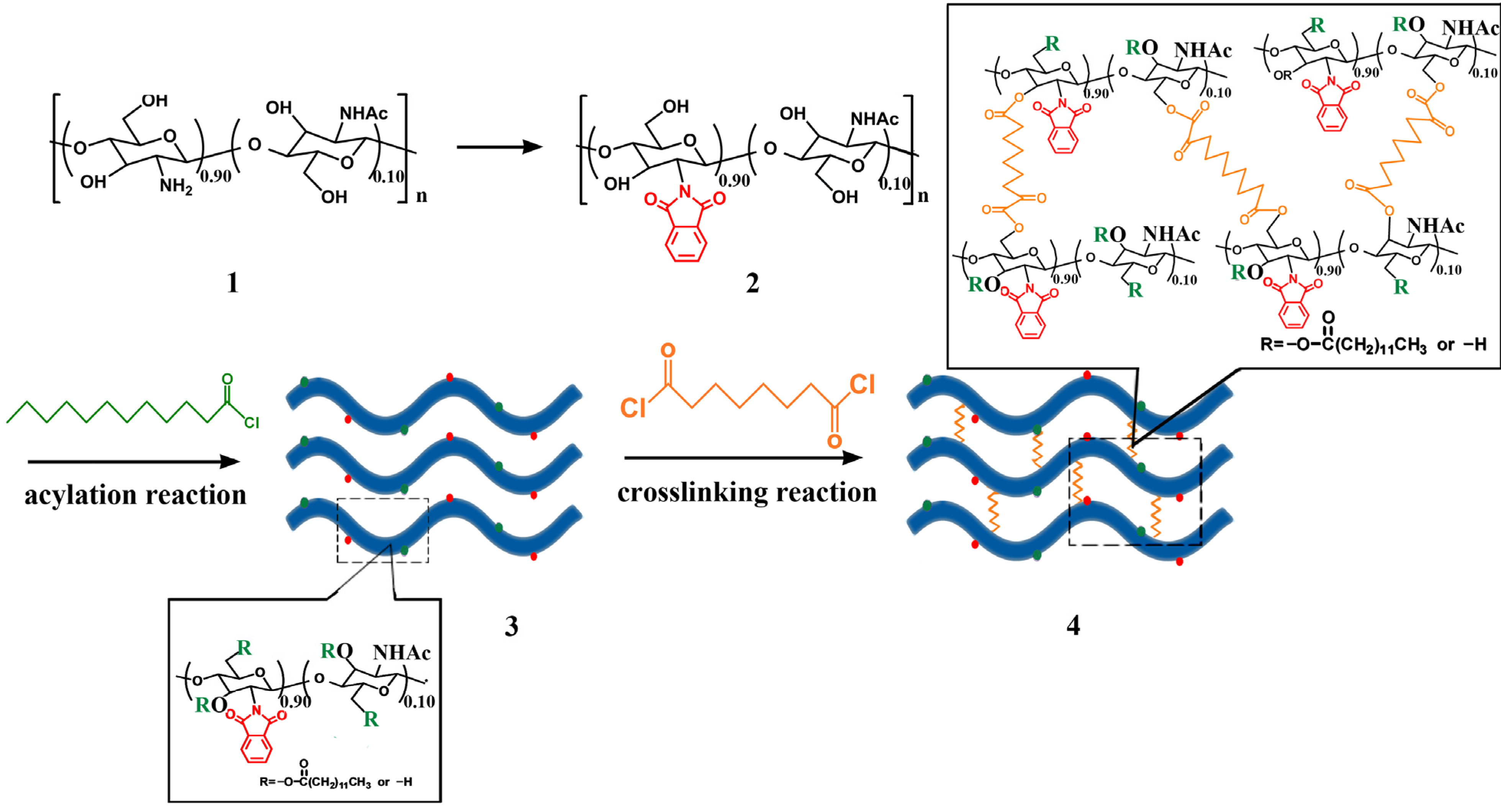 Enhancement of the Controlled-Release Properties of Chitosan Membranes ...