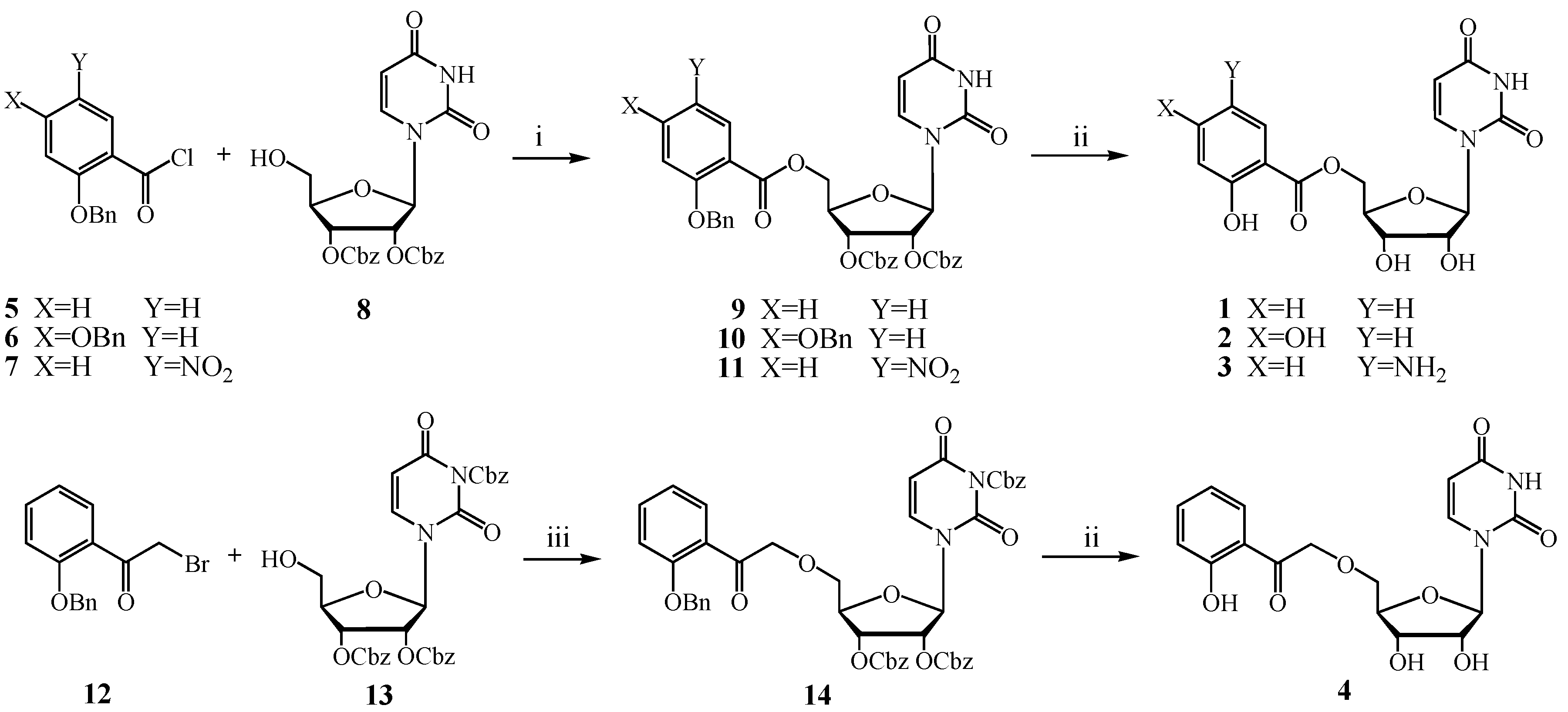 Synthesis and Preliminary Biological Evaluations of 5′-Substituted ...