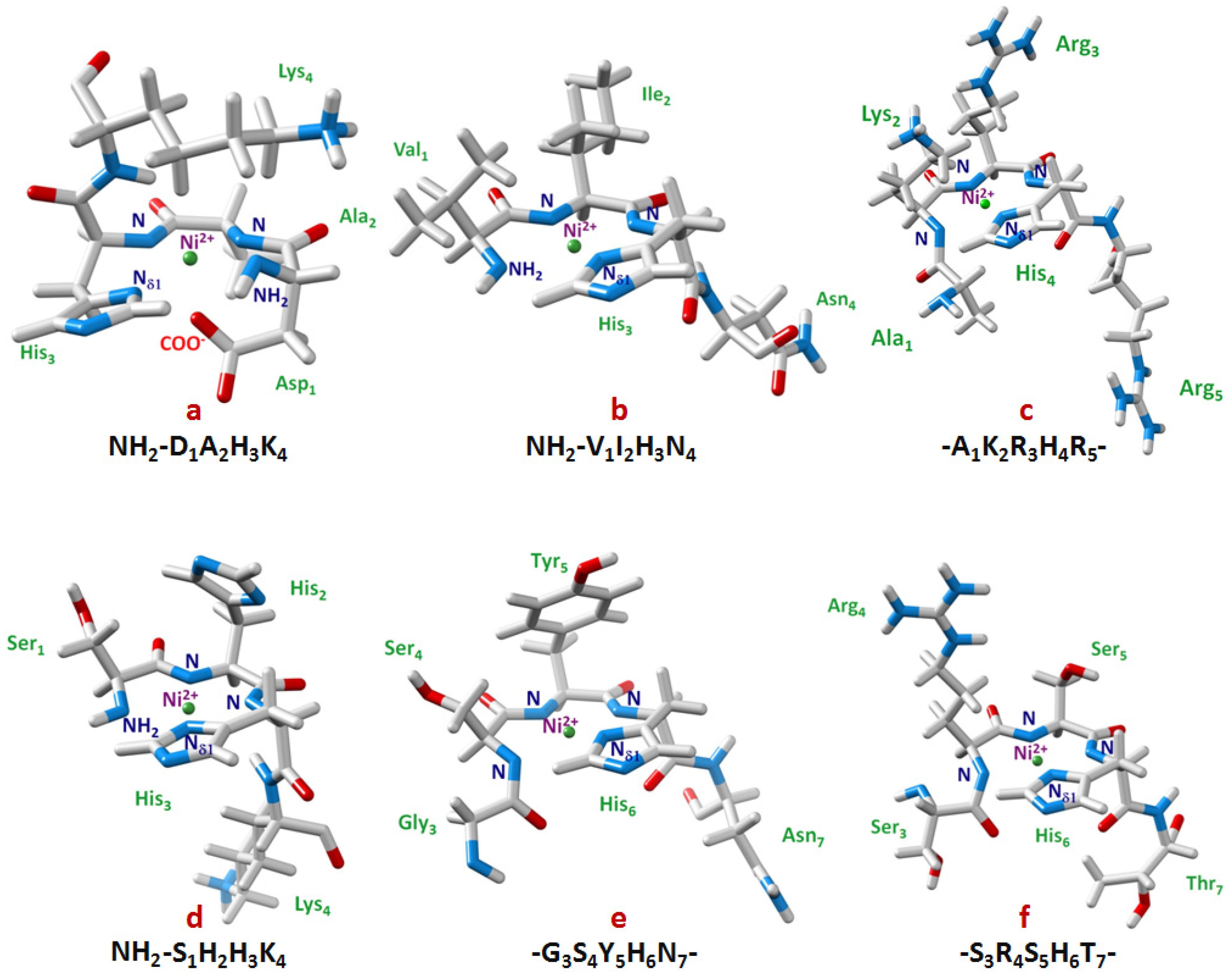The Involvement of Amino Acid Side Chains in Shielding the Nickel ...