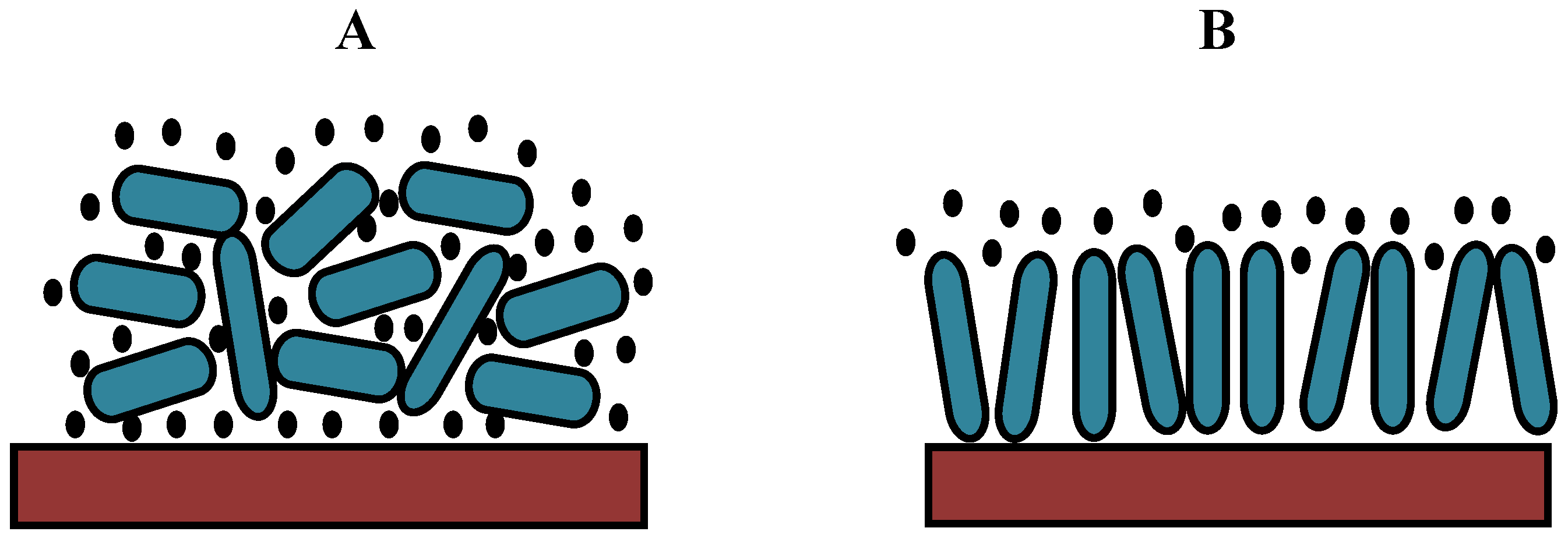 Protein Adsorption on Various Plasma-Treated Polyethylene Terephthalate ...