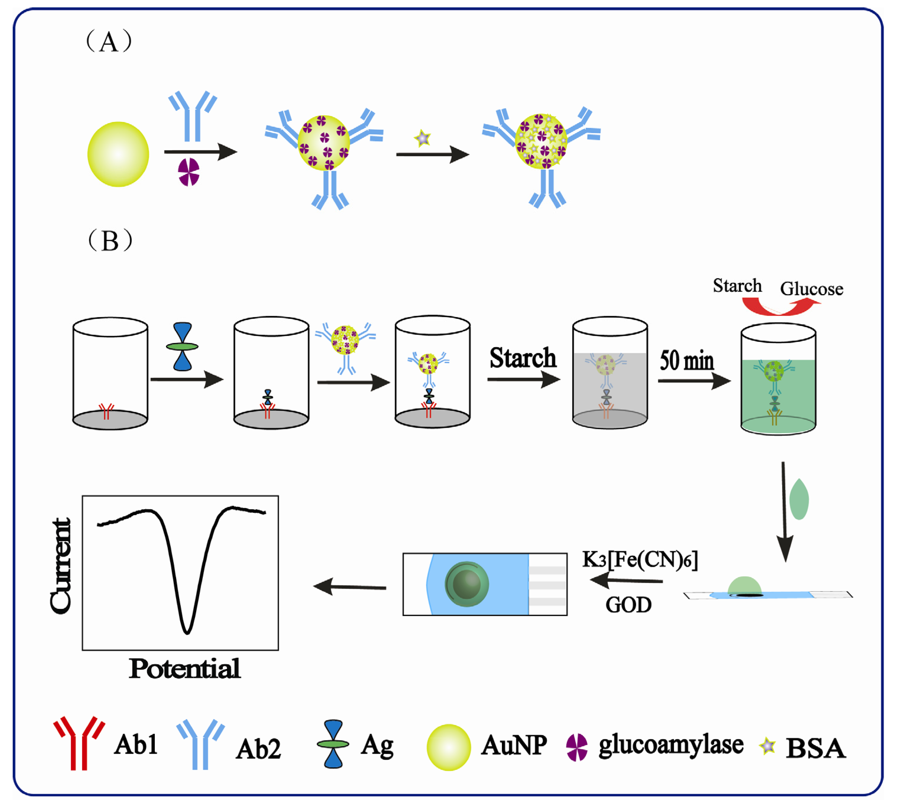 Enzyme Linked Immunosorbent Assay Enzyme Linked Immunosorbent Assay