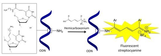 Molecules | Free Full-Text | Oligonucleotide Labelling Using a ...