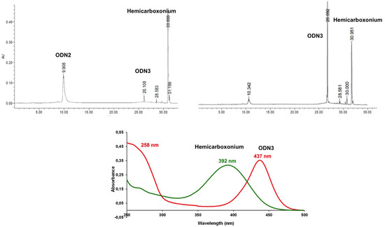 Oligonucleotide Labelling Using a Fluorogenic “Click” Reaction with a ...
