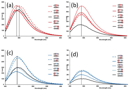 Oligonucleotide Labelling Using a Fluorogenic “Click” Reaction with a ...