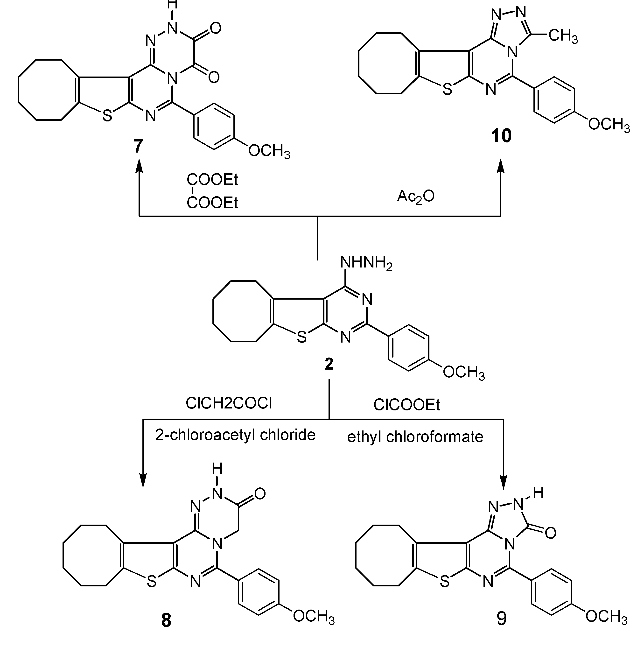 Synthesis and Pharmacological Activities of Some New Triazolo- and ...