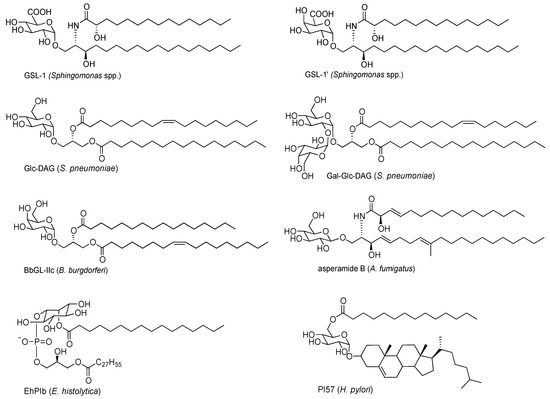Molecules | Special Issue : Synthesis, Structure, Analysis and Properties of Glycolipids