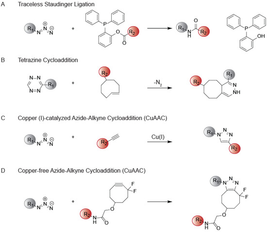 Molecules Free Full Text Applications Of Copper Catalyzed Click