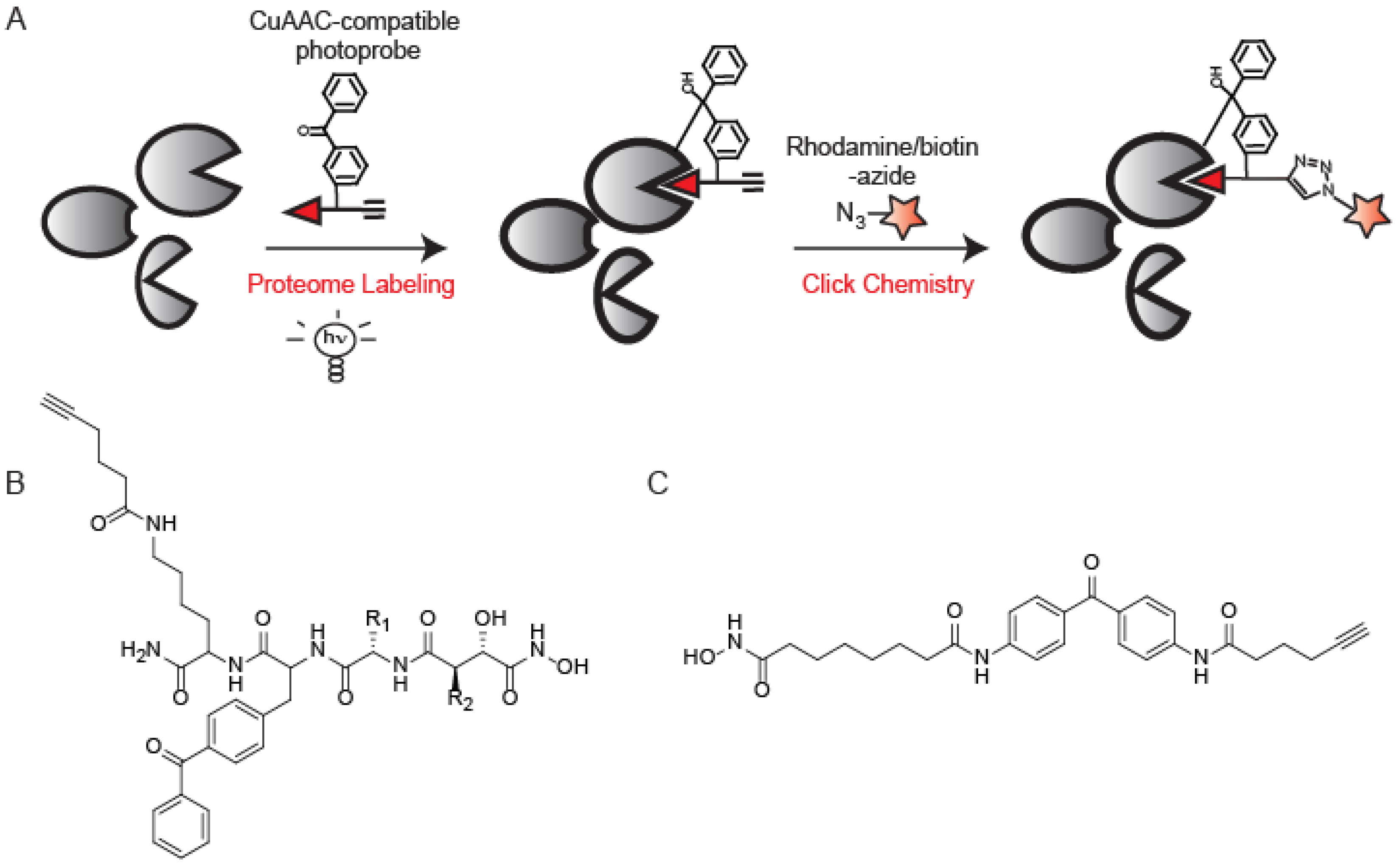 Molecules Free Full Text Applications Of Copper Catalyzed Click