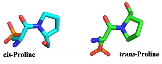 Molecules | Free Full-Text | Cross-Talk of Phosphorylation and Prolyl ...