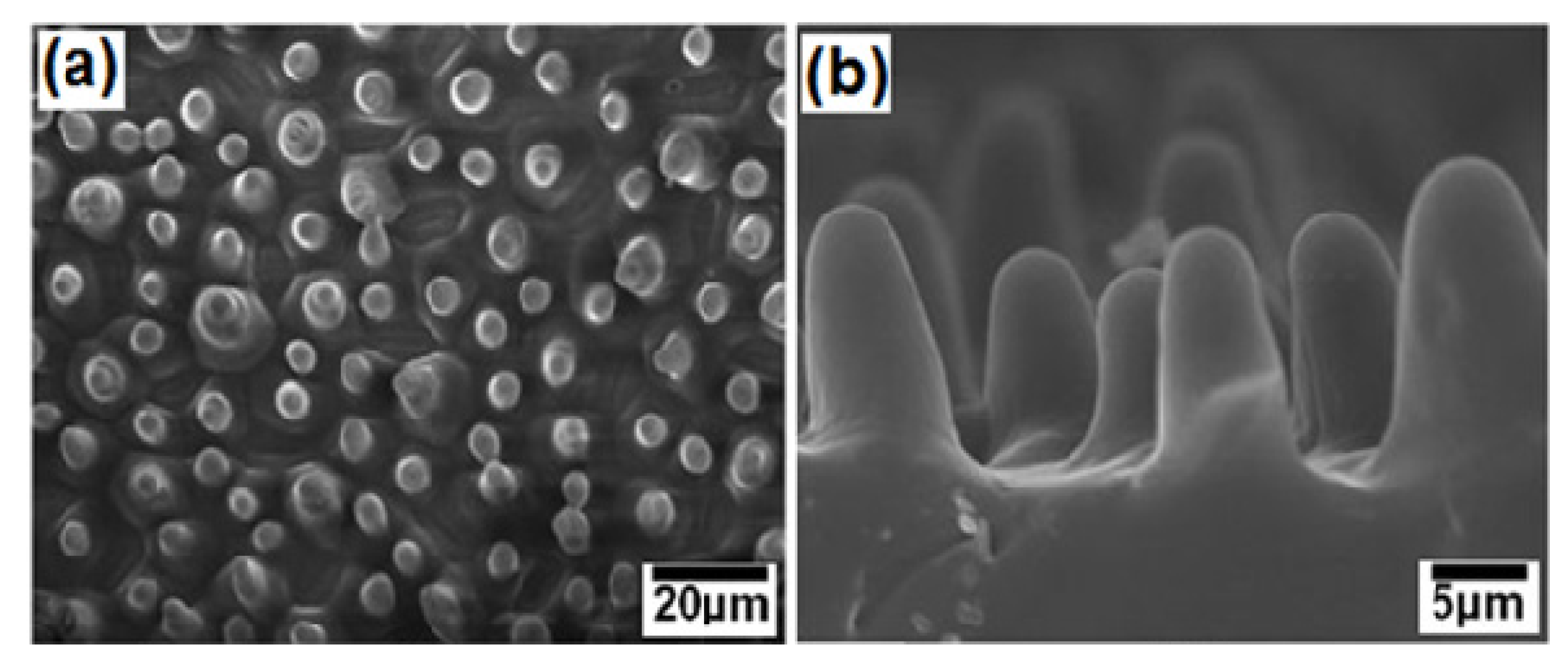 Superhydrophobic Surfaces Developed by Mimicking Hierarchical Surface ...