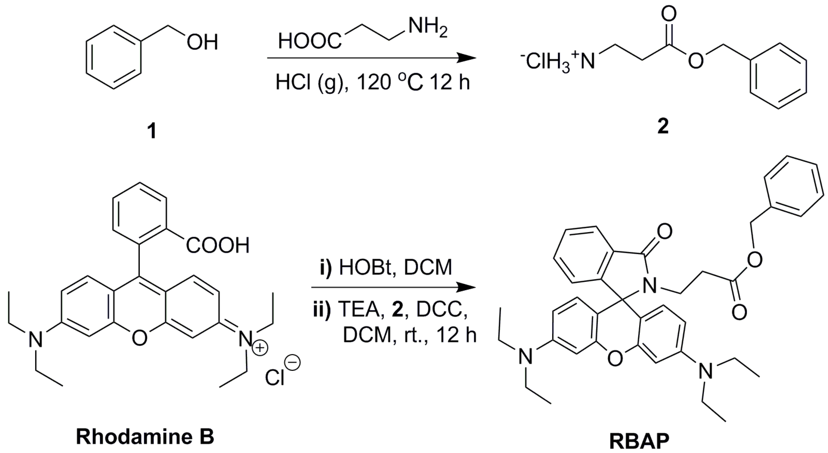 Molecules | Free Full-Text | RBAP, a Rhodamine B-Based Derivative ...