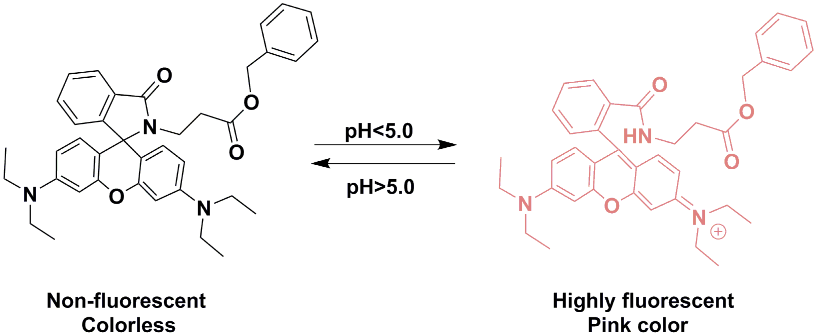 RBAP, a Rhodamine B-Based Derivative: Synthesis, Crystal Structure ...