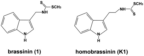 Dmt Vs Meth