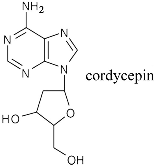 Cordycepin Induces S Phase Arrest and Apoptosis in Human Gallbladder ...