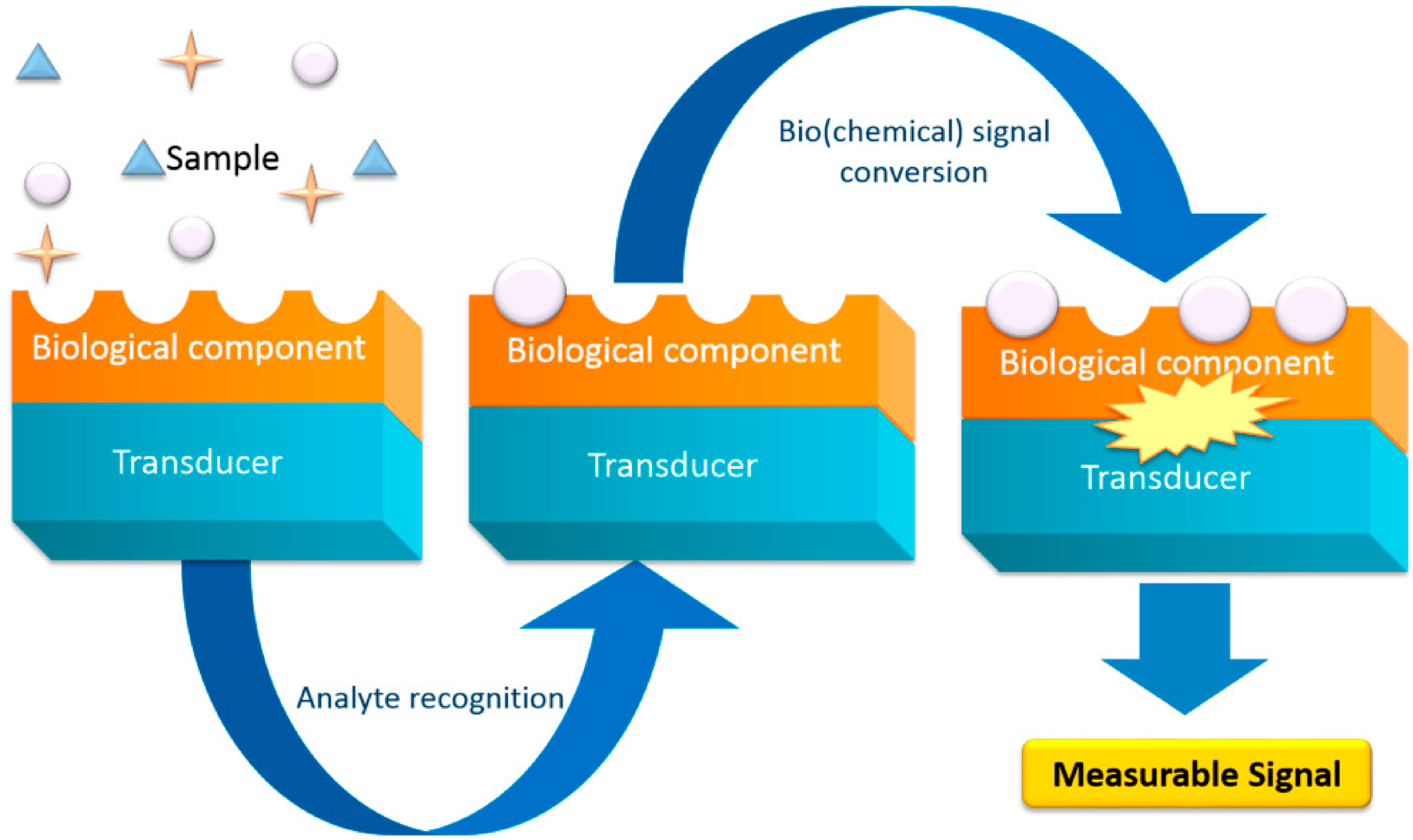 Trends in Protein-Based Biosensor Assemblies for Drug Screening and ...