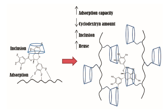 Molecules | Free Full-Text | Inclusion and Functionalization of Polymers with Cyclodextrins ...