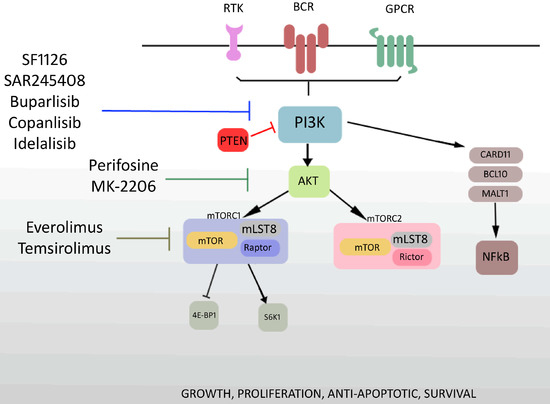 Inhibition of the PI3K/Akt/mTOR Signaling Pathway in Diffuse Large B ...