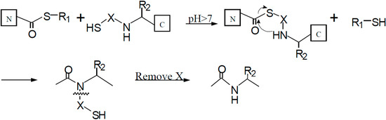Native Chemical Ligation: A Boon to Peptide Chemistry