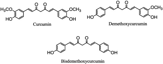 Synthesis and Biological Evaluation of Novel Curcuminoid Derivatives