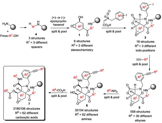 Diversity-Oriented Synthesis as a Tool for Chemical Genetics