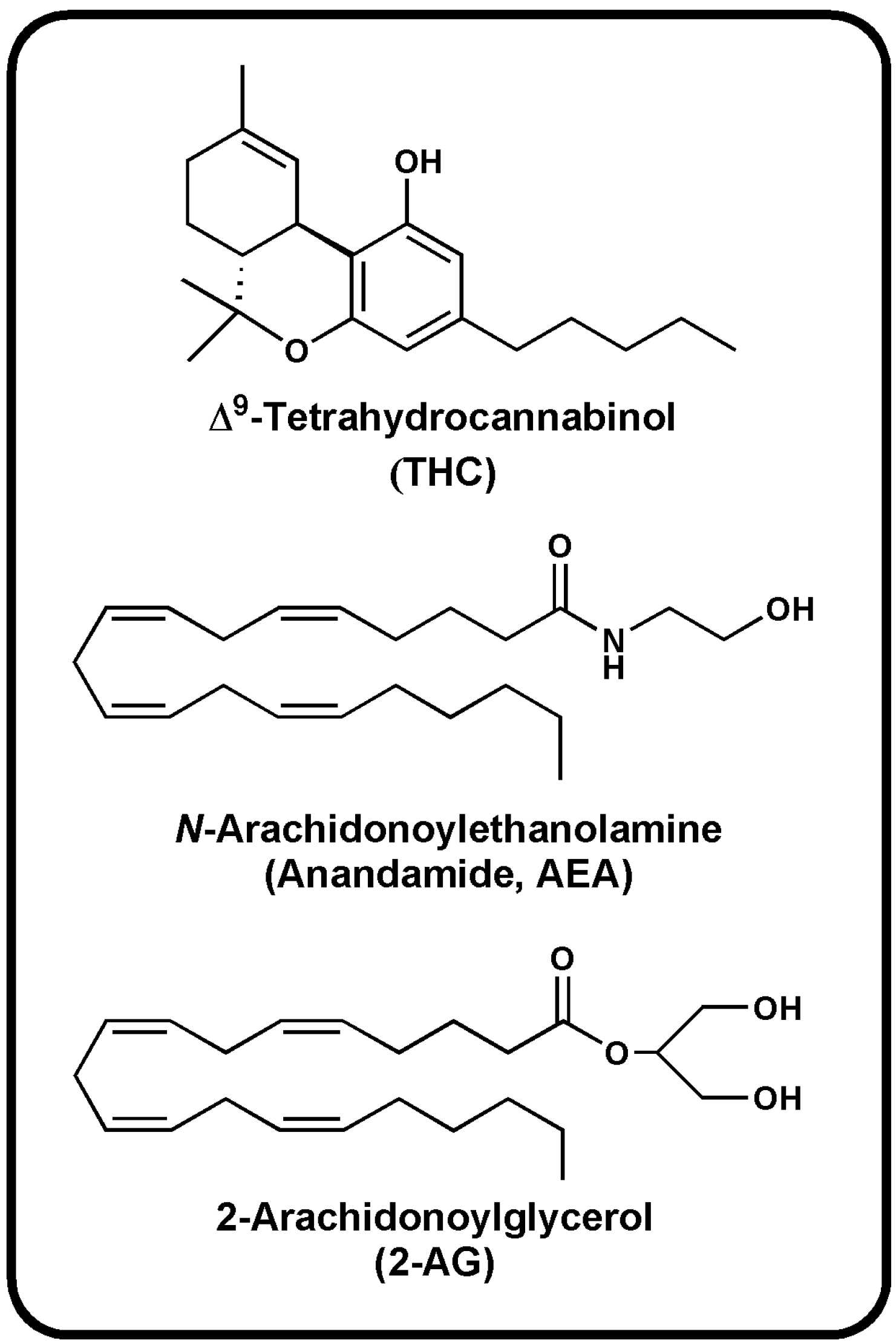 Molecules Free Full Text Endocannabinoids Related Compounds And
