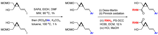 Diversity-Oriented Synthetic Strategies Applied to Cancer Chemical ...
