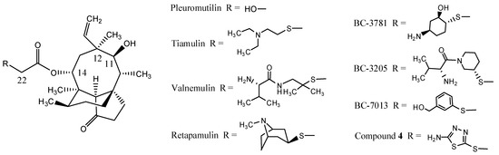 Synthesis and Biological Evaluation of New Pleuromutilin Derivatives as ...